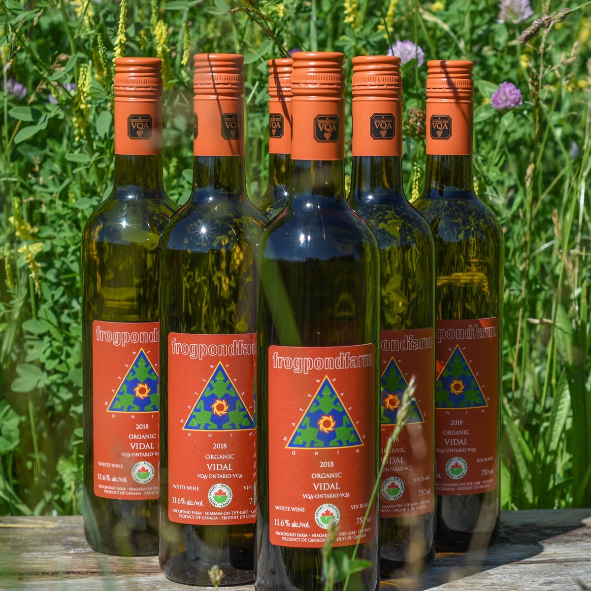 Vidal Wine Country Ontario Vidal Wine Country Ontario